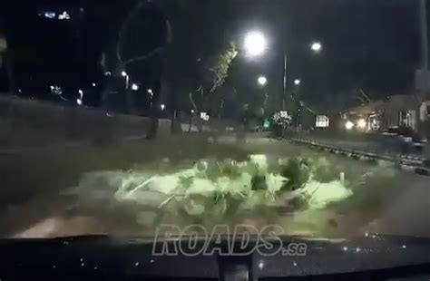 Tree Branch Fell Onto A Car S Path