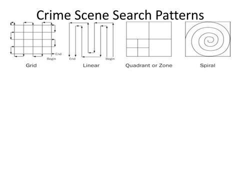 Search Patterns At A Crime Scene
