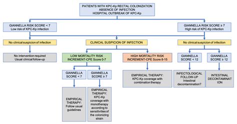 Antibiotic Coverage Chart 2023 At Lavina Flippen Blog