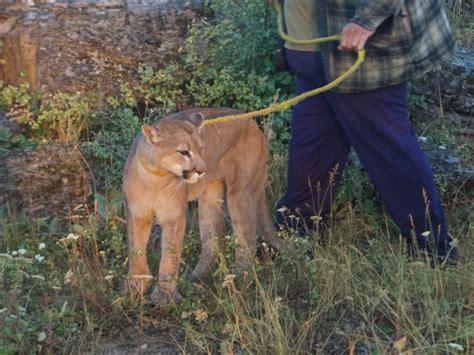 What Is EXIF Data Nature TTL