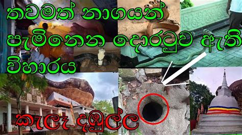 නාගයන් පැමිනෙන ද්වාරයක් ඇති කිසිදා නොසිදෙන පතුලක් නොමැති ඉපැරණි ලිද