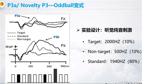 脑电信号处理与特征提取——1 脑电、诱发电位和事件相关电位（胡理） csdn博客