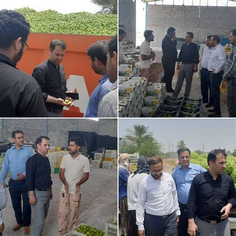 مدیرعامل سازمان مدیریت میادین میوه و تره بار به استان هرمزگان سفر کرد