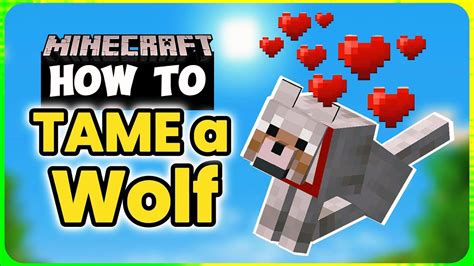 How To Tame A Wolf In Minecraft Easy Guide Youtube