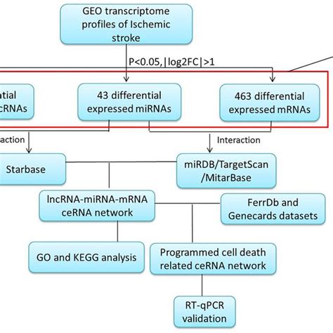 Flowchart Of Construction And Analysis Of Cerna Networks Geo Gene Download Scientific Diagram