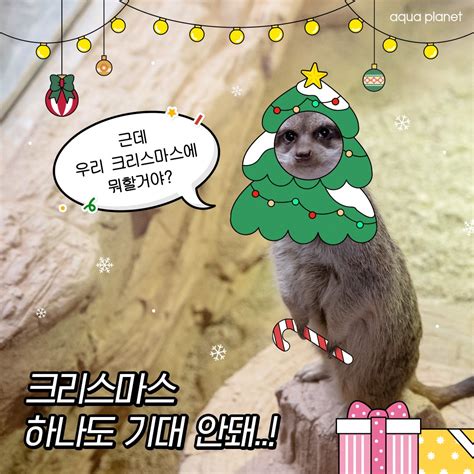 아쿠아플라넷 월간아쿠아 뜨거운 태양을 연상케하는 혈앵무와 행복했던 여름 이제 진짜 안녕👋🏻 숨이 턱턱 막히던 무더위도 가고 어느덧 쌀쌀해진 공기에 가을 분위기가