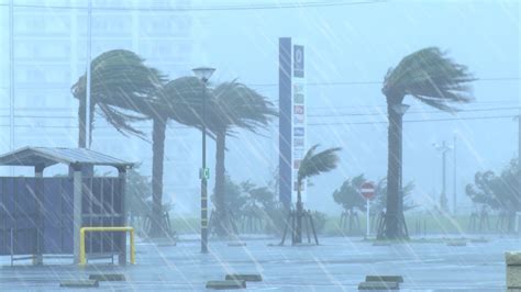 밤에 허리케인 비 및 천둥 소리로 즉시 잠을 잘 수 있도록 스트레스 해소 Youtube