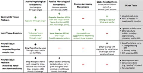 Tissue Functioncomparable Findings Flashcards Quizlet
