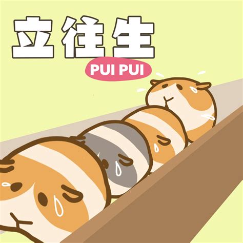 樂吃購！日本 日本旅遊，有時候會遇到踏切事故的「踏切」是哪裡？立往生是什麼意思？搞懂這些「電車緊急情況用語」很重要