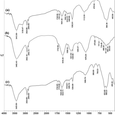The Ft Ir Spectra Of Fe3o4 Nps A Thymbra Spicata Leaf Extract B