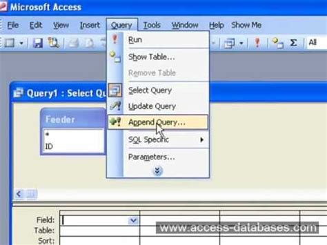 How To Change The Ms Access Autonumber Disneyland Planning Helpful Hints Education