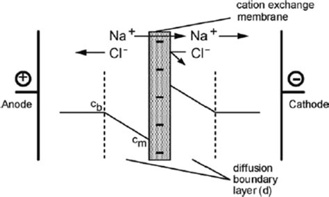 Schematic Illustration Of The Concentration Polarization Hypothesis