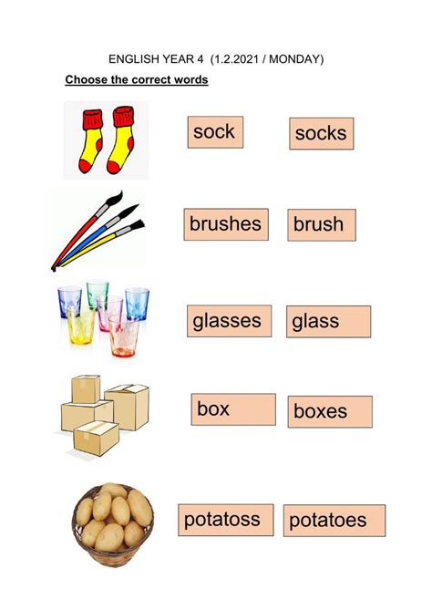 Levels Of Organisation Worksheet Artofit