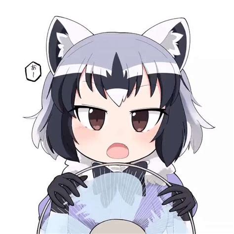 Anime  Taro Taro Common Raccoon Kemono Friends Taro
