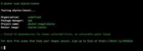 Metasploit Shellcodes Attack Exposed Docker Apis Trend Micro My
