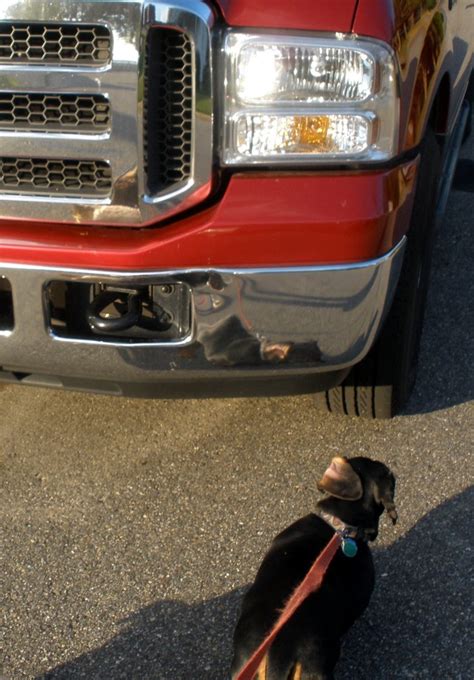 Raspberrypi Object Detection Object Detection Dataset And Pre Trained