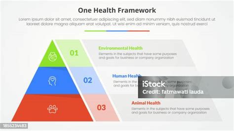 피라미드 모양의 구조가 평면 스타일의 3 점 목록으로 나뉘어 진 슬라이드 프리젠 테이션을위한 하나의 건강 인포 그래픽 개념 개념에 대한 스톡 벡터 아트 및 기타 이미지