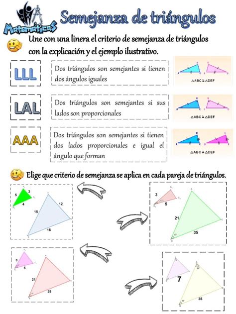 Cuadriláteros Clasificación Y Sus Divisiones Esenciales