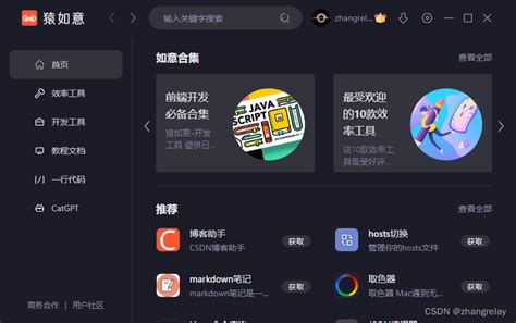 什么是catgpt 使用效果如何 cat gpt csdn博客