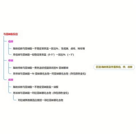 高中化学氮及其化合物的思维导图12张 几塔之家
