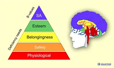 Three Brains — Collectiver