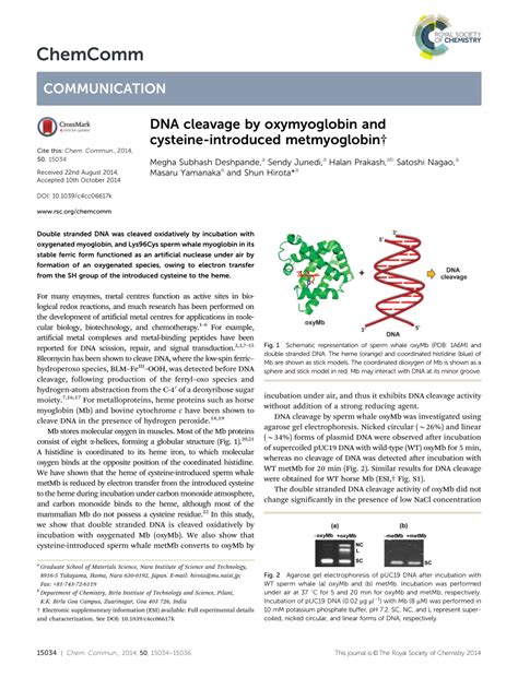 Pdf Dna Cleavage By Oxymyoglobin And Cysteine Introduced Metmyoglobin