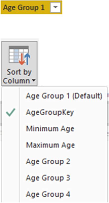 How To Sort Multiple Sets Of Age Groups In Power BI Magnetism Solutions NZ Auckland
