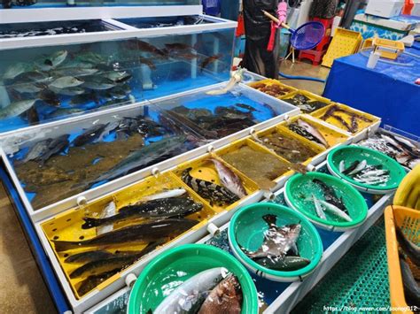 강릉 주문진수산시장주문진항 수산물 좌판 풍물시장 네이버 블로그