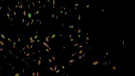 Leaves Falling Overlay Stock Video Footage For Free Download