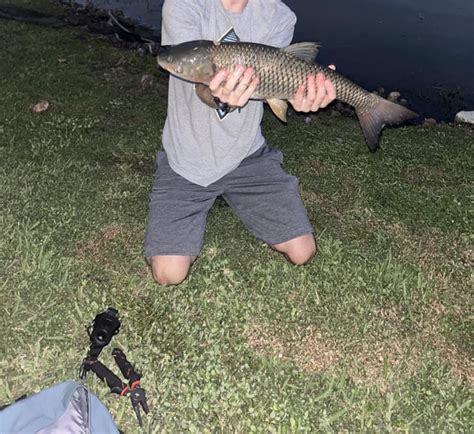 Why Does My Line Keep Snapping Tonight I Managed To Catch A Few Carp About This Size But A Few