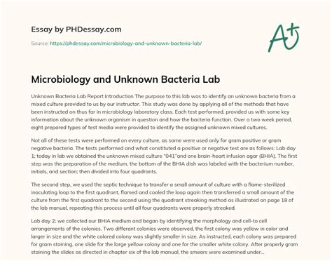 Microbiology And Unknown Bacteria Lab 300 Words