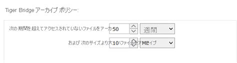 Azure Blob Storage を使用して Tiger Bridge の継続的なデータ保護、アーカイブ、ディザスター リカバリーをデプロイする Azure Storage