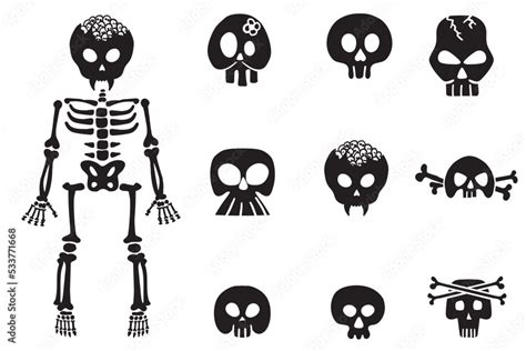 Fototapeta Skeleton And Heads Bundle Svg Skeleton Parts Svg Skeleton