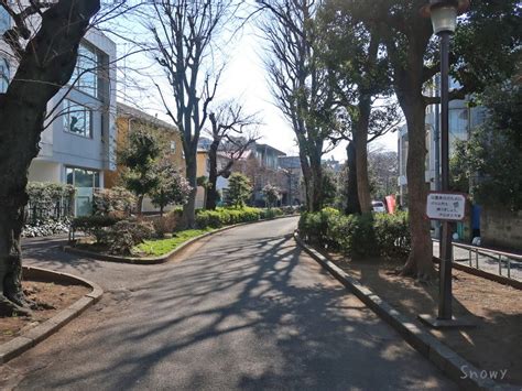 玉川上水を歩く 10 西原地区幡ヶ谷緑道 かわゆら