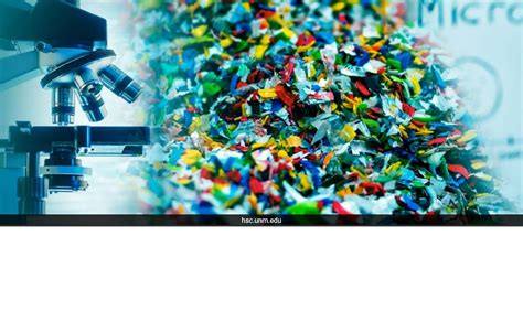 Microplastics Detected In Human Testicles Raising Fertility Concerns