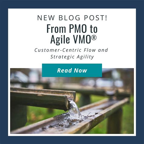 Lithespeed On Linkedin Agilevmo Valuemanagementoffice Pmo