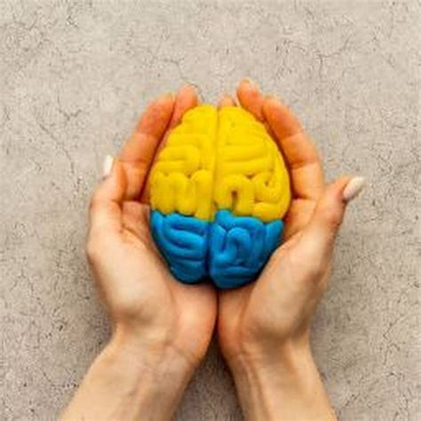 The Brain Logic Youtube