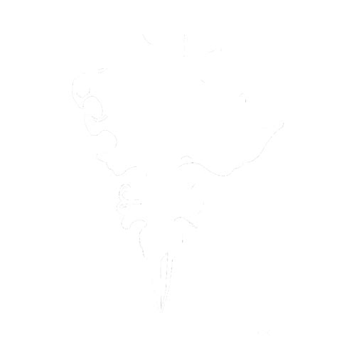 Ghostlyrics Journal Image Dump Mass Effect Datapad