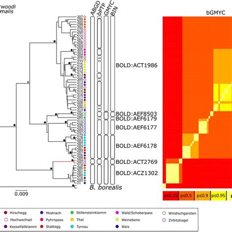 Bayesian Inference Phylogeny And Species Delimiation Bayesian