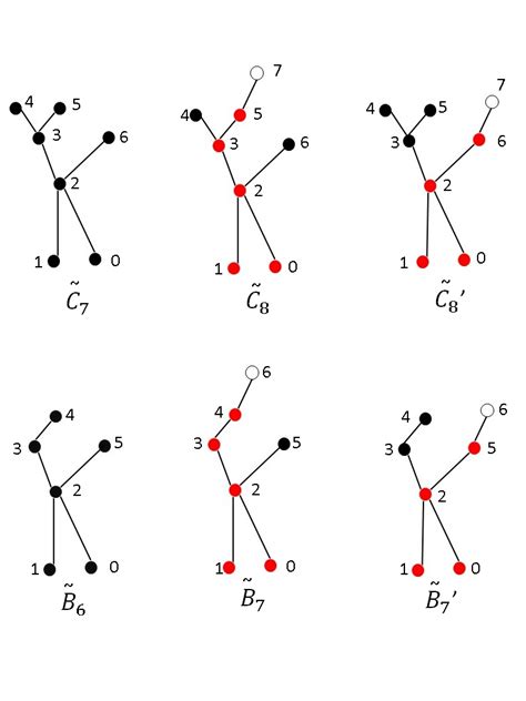 An Illustration Of The Bell Causality Condition In Past Finite
