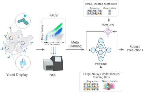 Machine Learning Strategies To Overcome Limited Data Availability