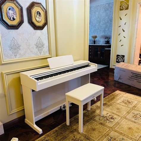 Төгөлдөр Хуур Хөгжим Худалдаа