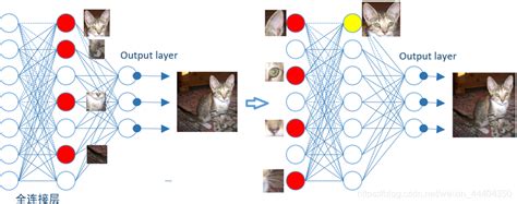 毕设：基于cnn卷积神经网络的猫狗识别、狗品种识别tensorflow、keras、kaggle竞赛cnn识别猫狗分类的原理 Csdn博客