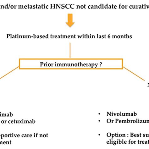 Proposed Treatment Algorithm For Recurrent And Or Metastatic Hnscc Download Scientific Diagram