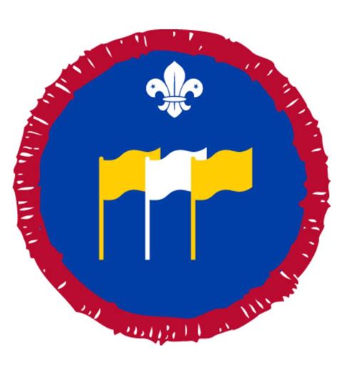 This Month The Scouts Worked Towards Machynlleth Scouts