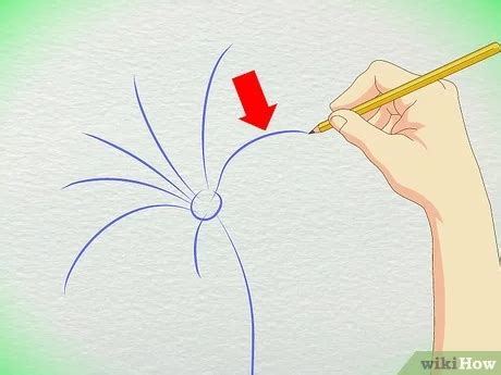 How To Draw A Realistic Lily Flower Step By Best Flower Site