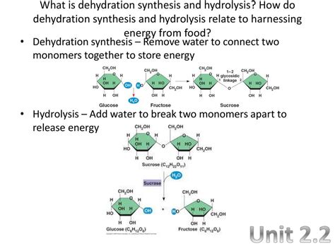 Principles Of Biomedical Sciences Ppt Download