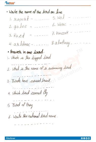 Cbse Class 3 Evs Flying High Worksheet With Solutions
