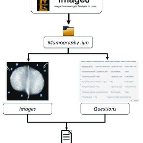 Software Design Process Download Scientific Diagram