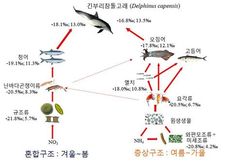 해수부·포항공대 동해남부서 물고기 많이 잡히는 이유 밝혀내 아주경제